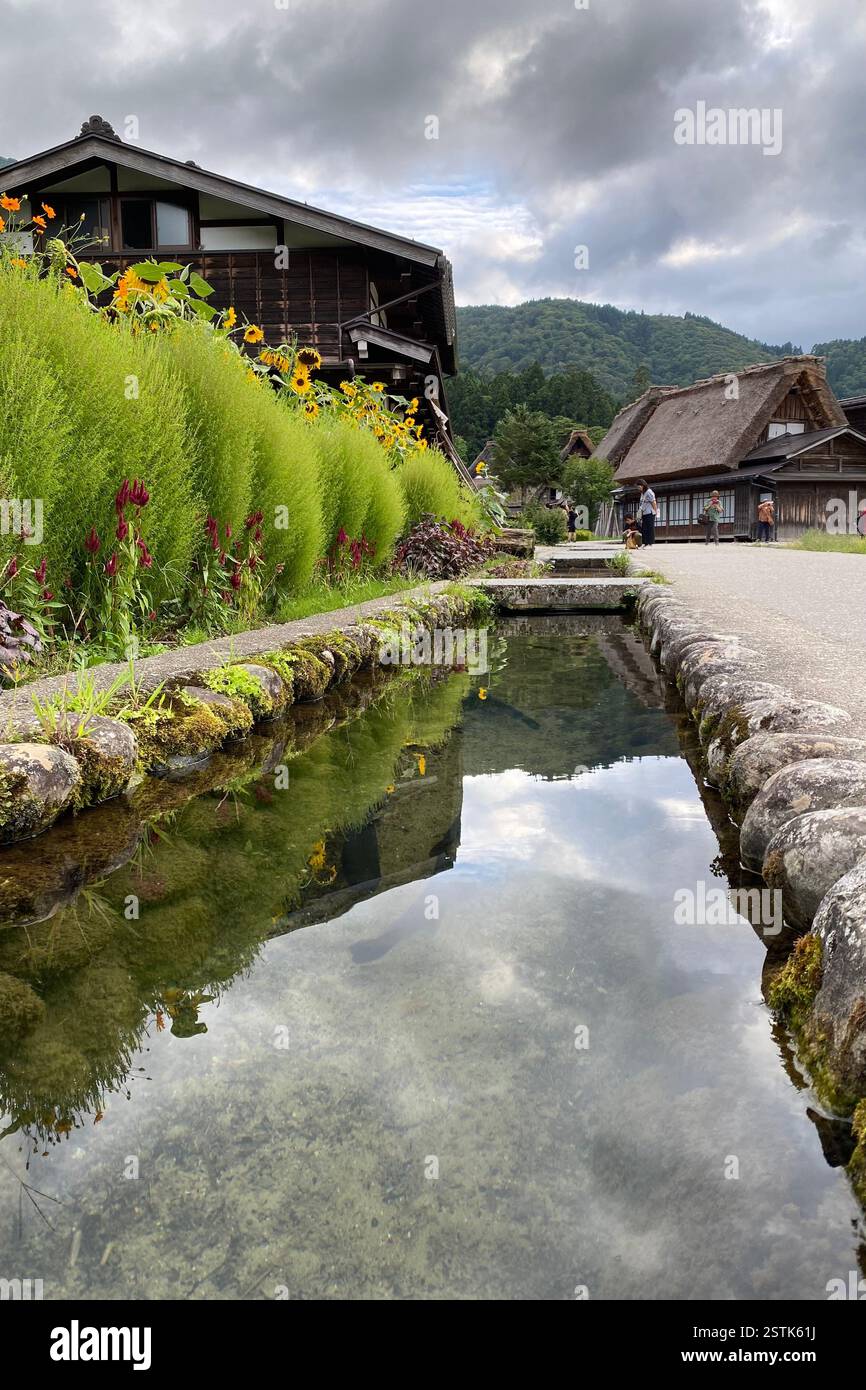 Thatched roof houses of Japanese village Shirakawa during summer time ...