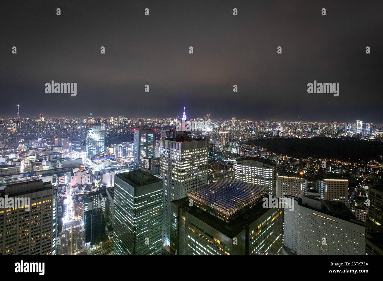 Tokyo, Japan, 5-4-2024: night view from Tokyo Metropolitan Government ...