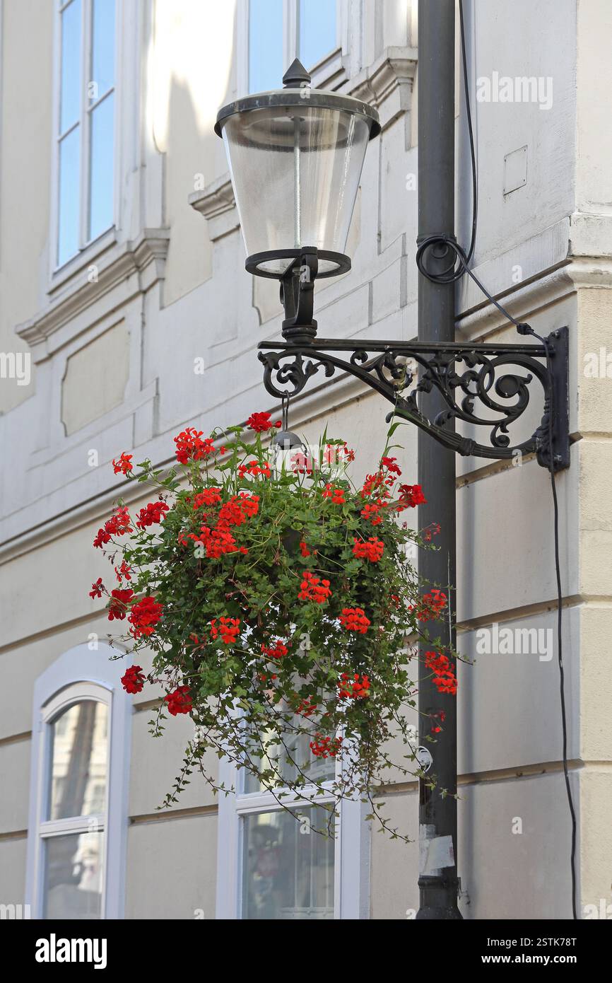 Hanging Street Flower Pot Stock Photo - Alamy