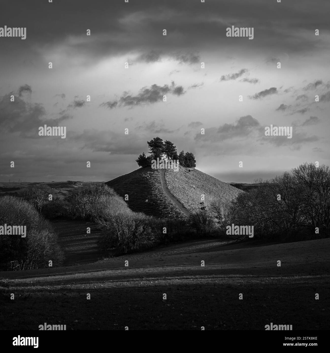 View of Colmer's Hill near Bridport, Dorset, UK, in the aftermath of ...