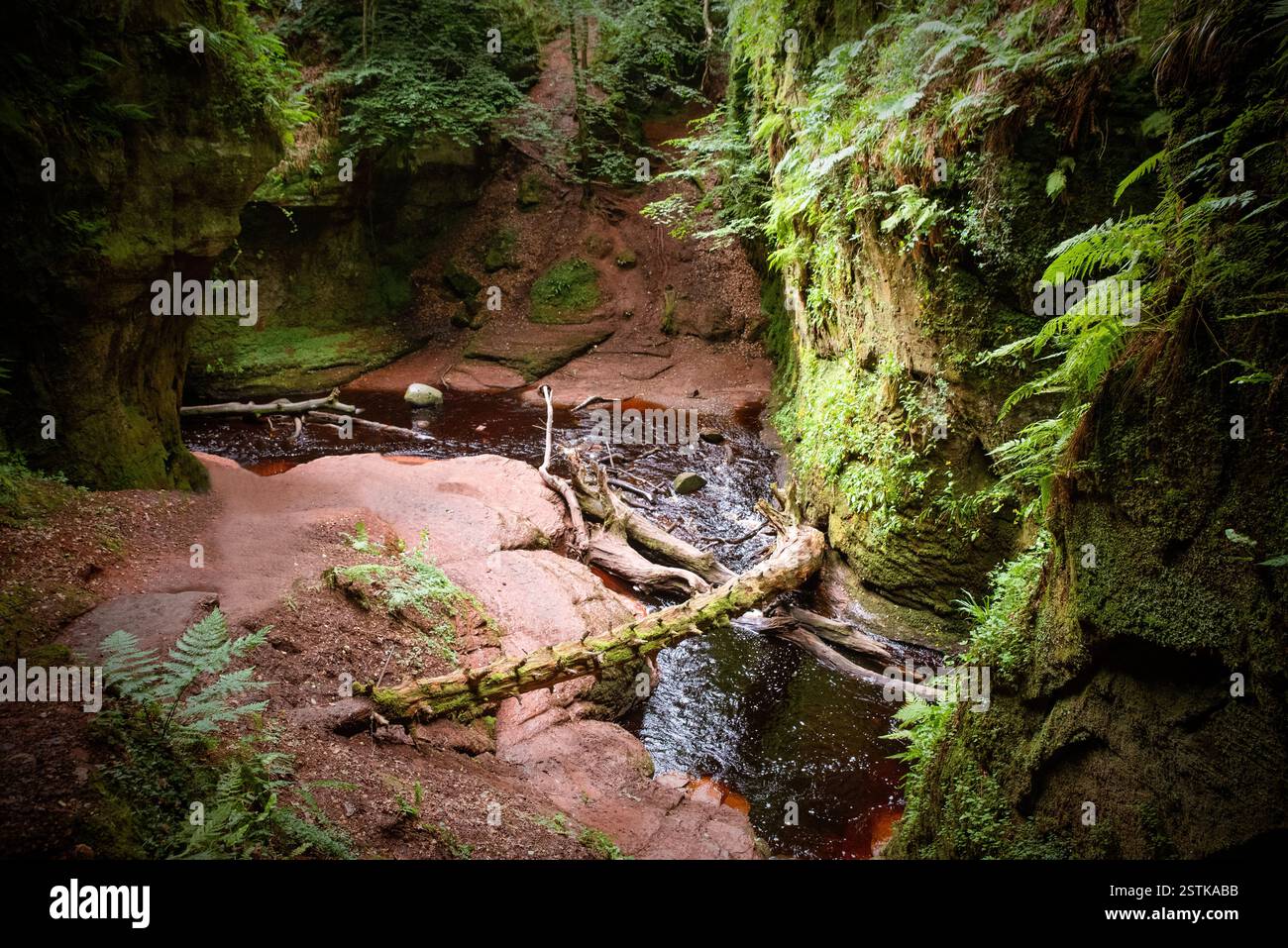 The Devil's pulpit gorge, near Loch Lomond, Scotland Stock Photo - Alamy