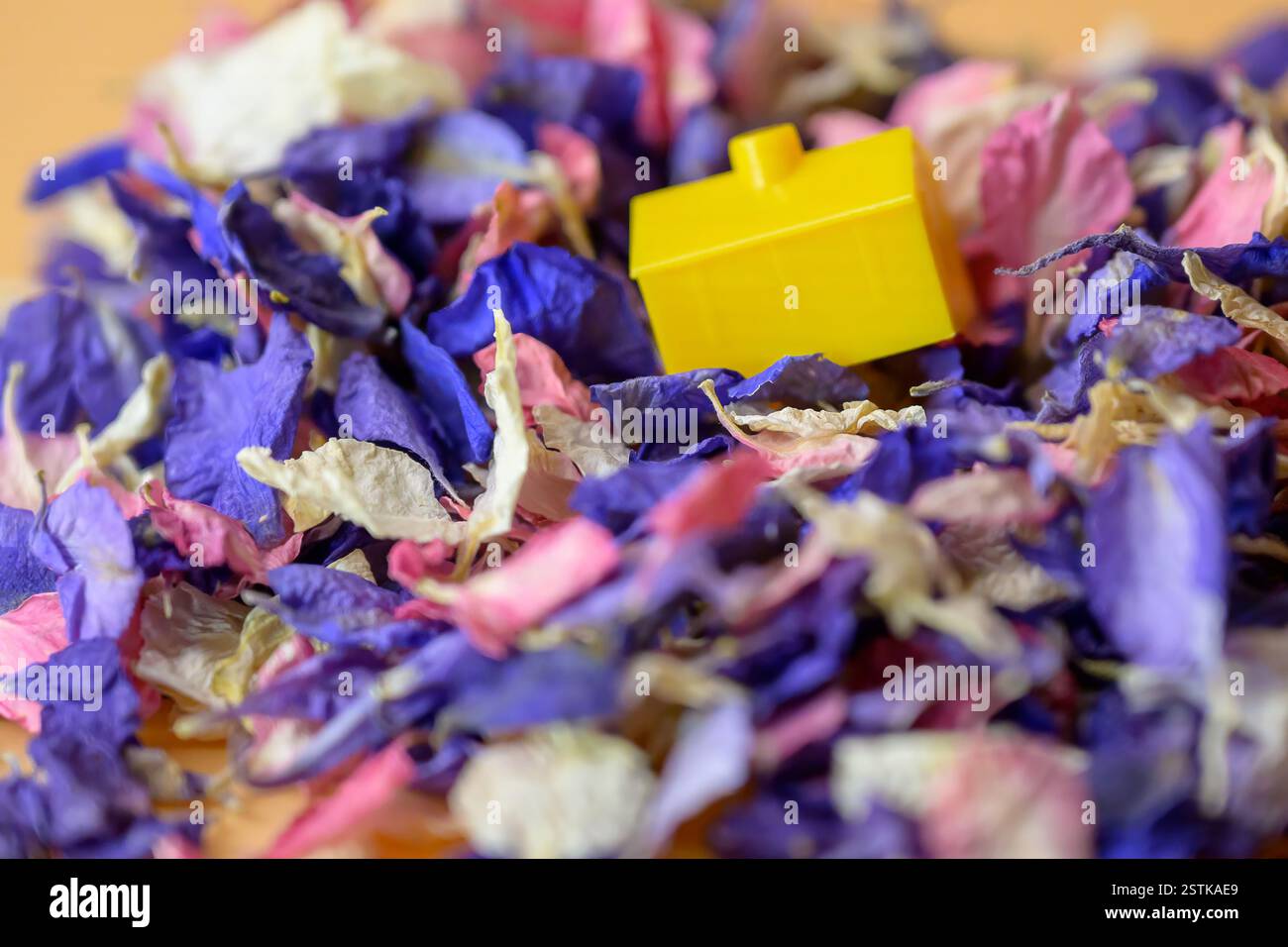 A colorful arrangement of dried flower petals surrounds a small yellow ...