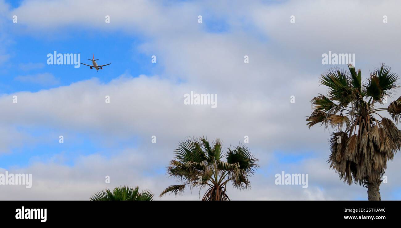 Flying tropical hi-res stock photography and images - Alamy