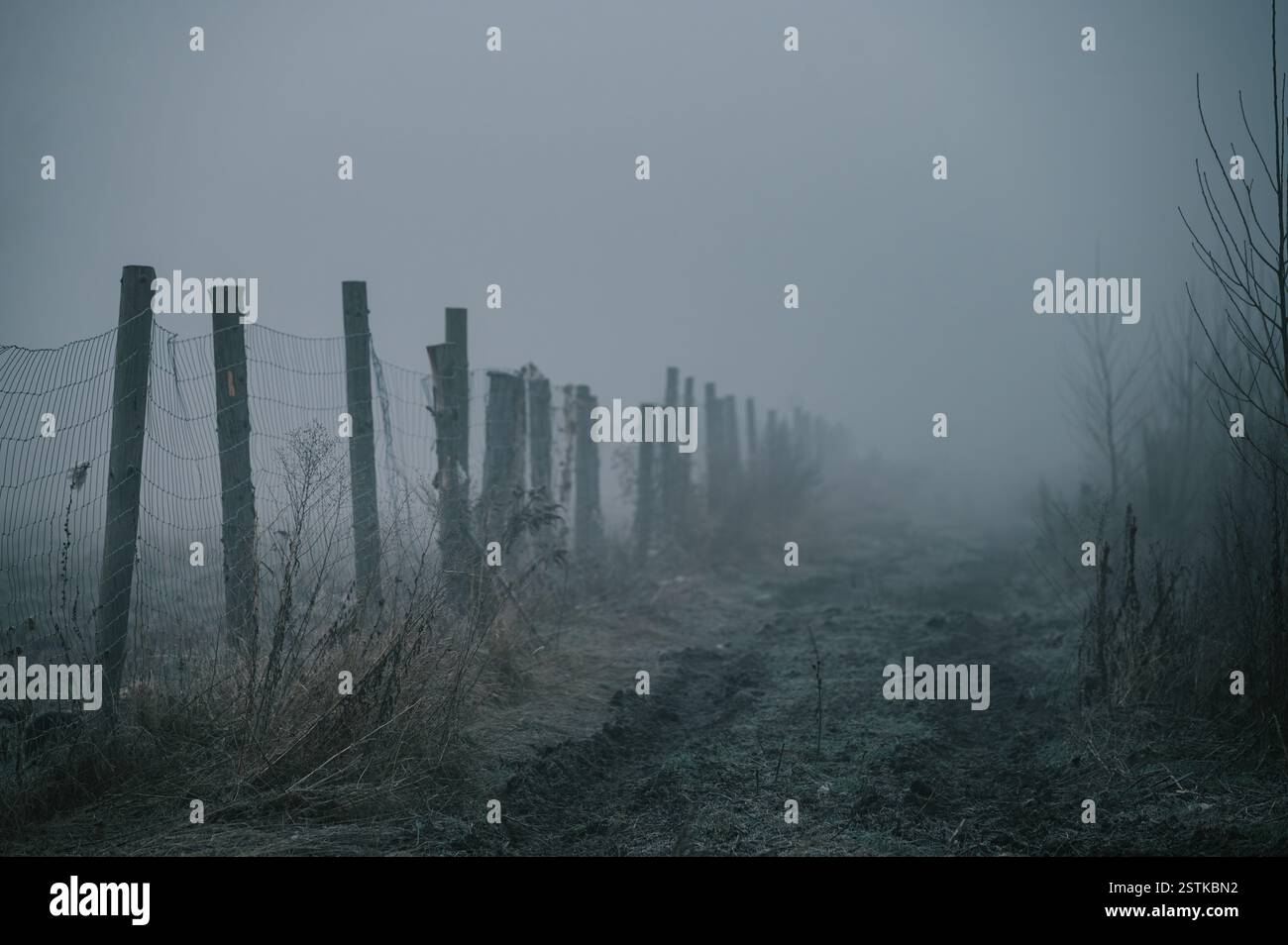 Dark solitude hi-res stock photography and images - Alamy