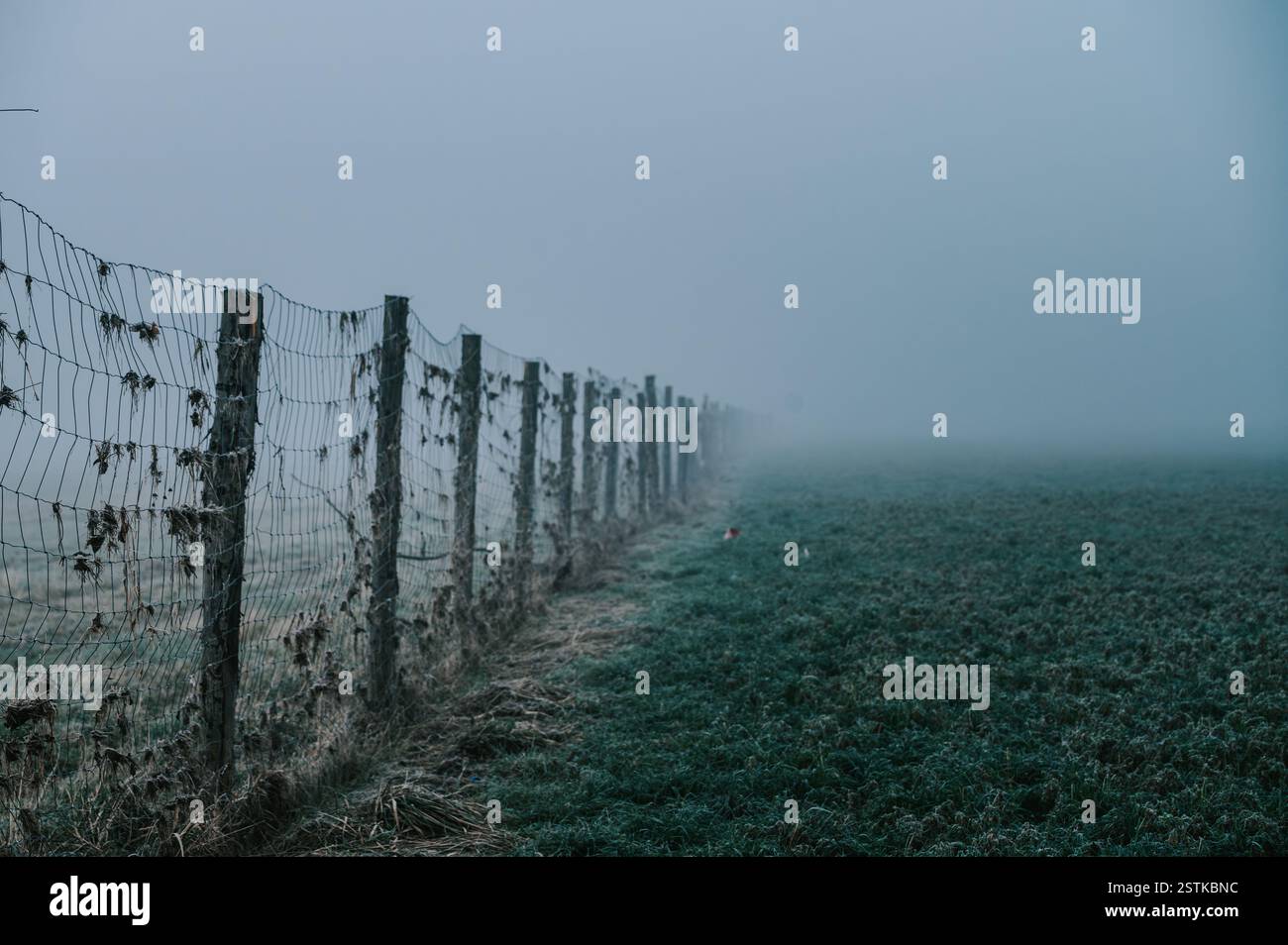 Depression and melancholy in a photo from a foggy dark autumn morning ...