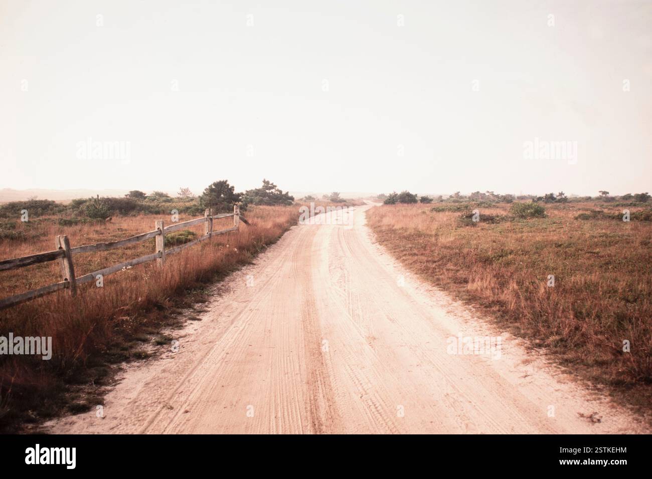 Cisco field hi-res stock photography and images - Alamy