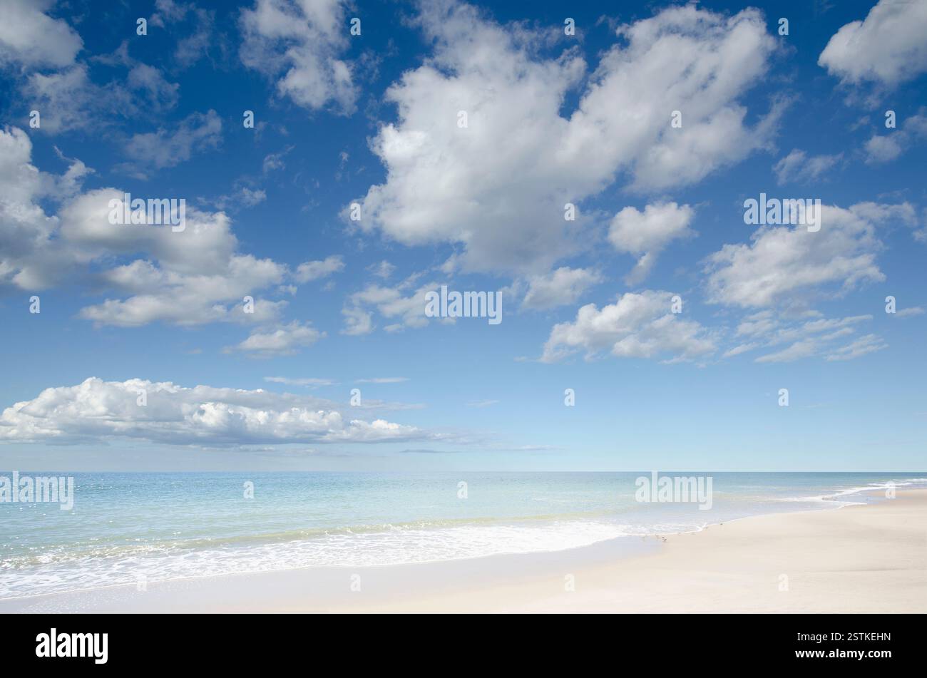 White puffy clouds above ocean and empty sandy beach Stock Photo - Alamy