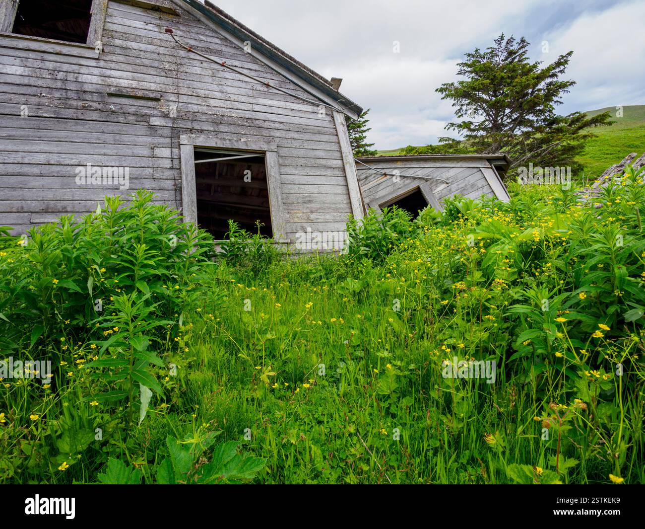 Abandoned house exterior in hi-res stock photography and images - Alamy