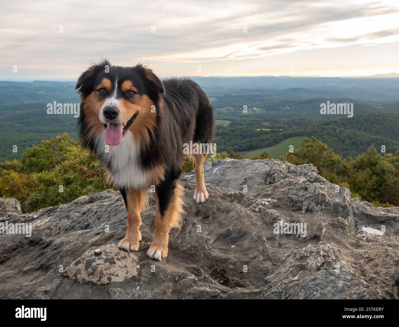 Australian rocky landscape hi-res stock photography and images - Alamy