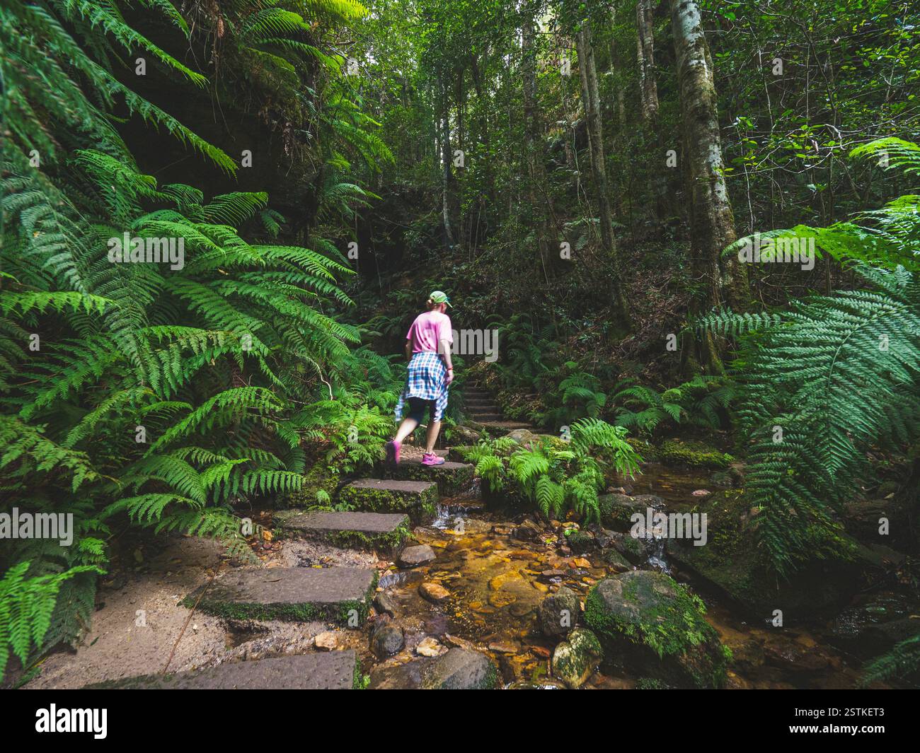 Rear view of woman walking on stone steps in forest Stock Photo - Alamy