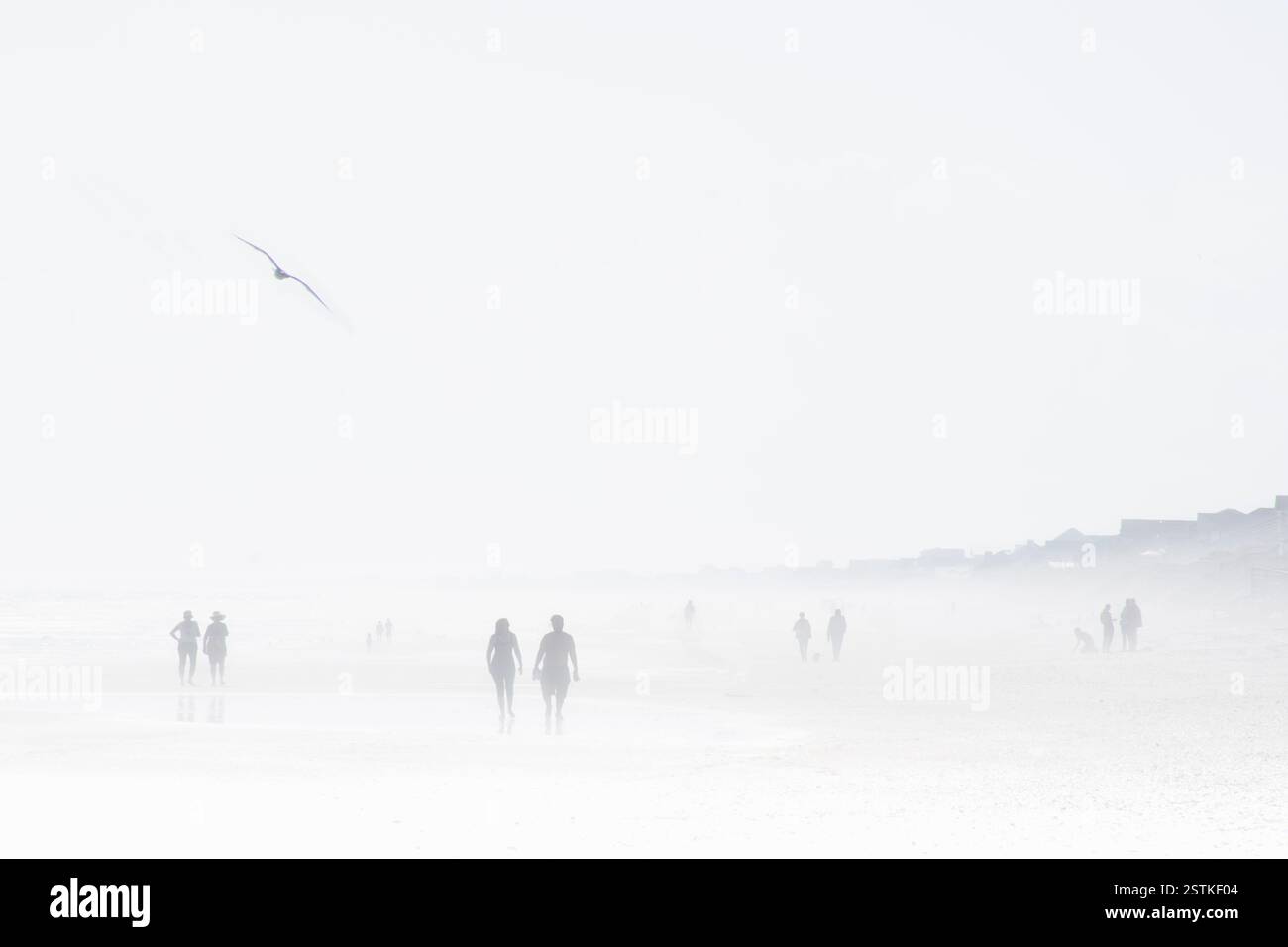 Topsail island in north hi-res stock photography and images - Alamy