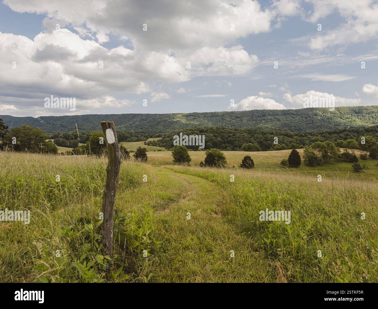 Footpath and post with trail marker in grassy meadow Stock Photo - Alamy