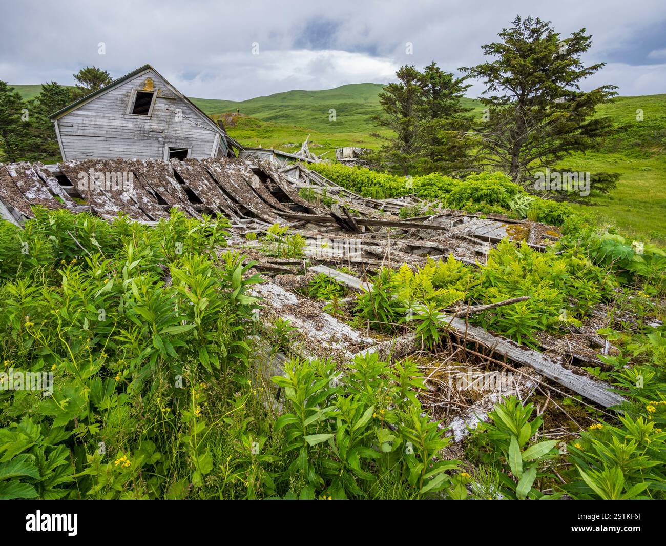 Abandoned house exterior in hi-res stock photography and images - Alamy
