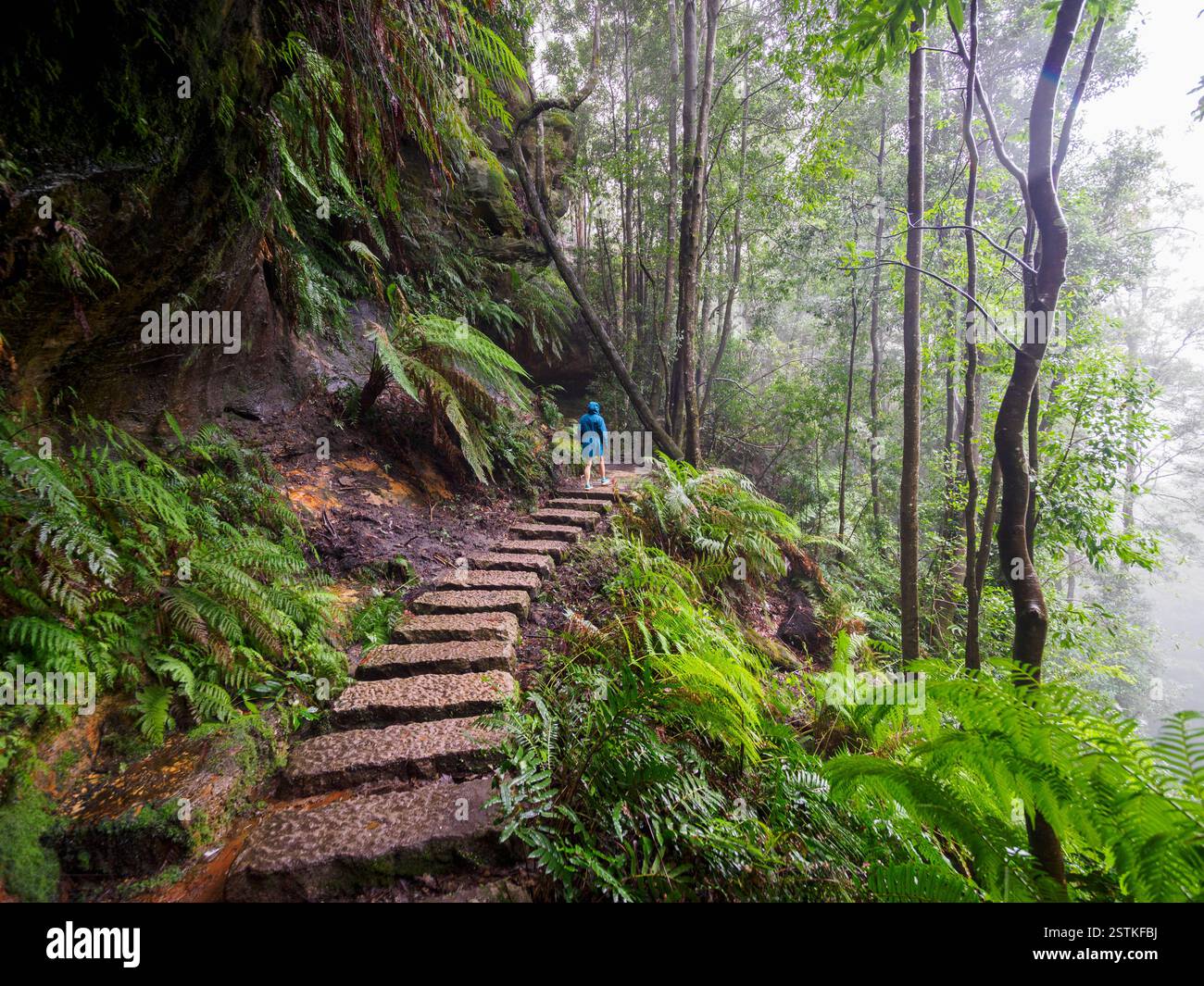 Climbing up the steps hi-res stock photography and images - Alamy