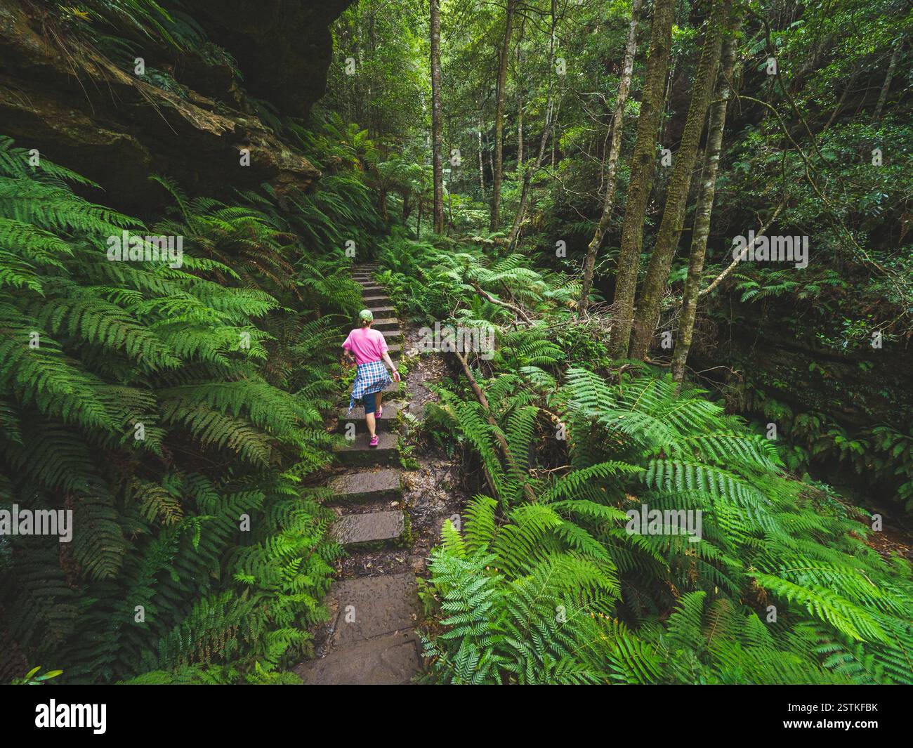Rear view of woman walking on stone steps in forest Stock Photo - Alamy