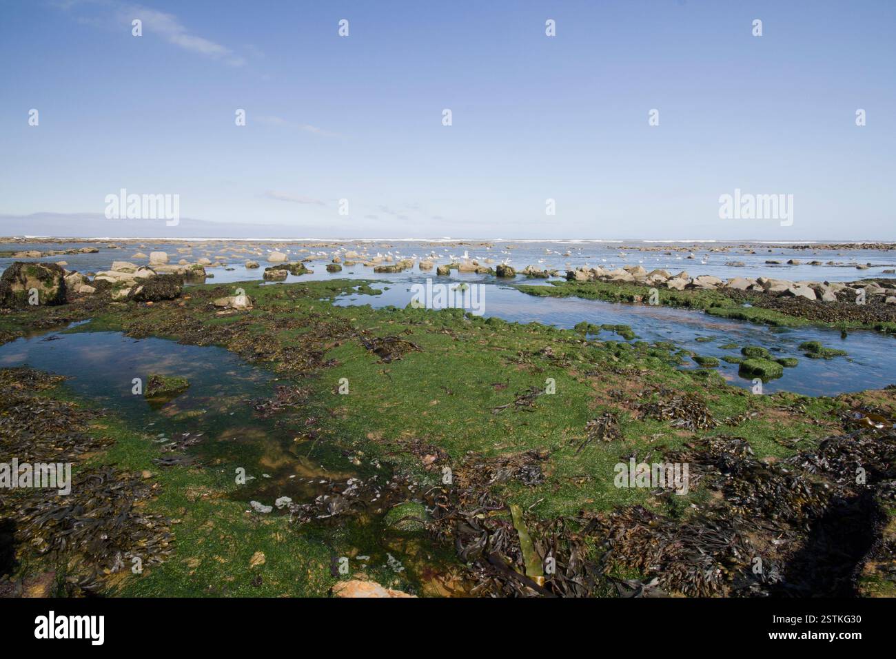 Scarborough north bay Stock Photo - Alamy