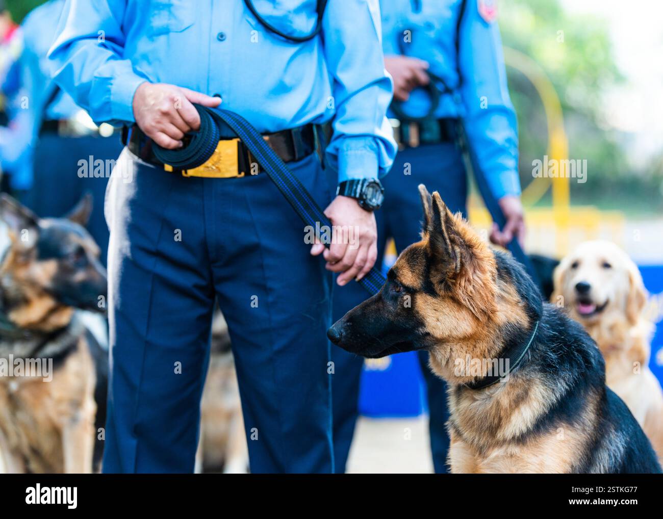 Nepal Police celebrates Kukur Tihar in Kathmandu Stock Photo - Alamy