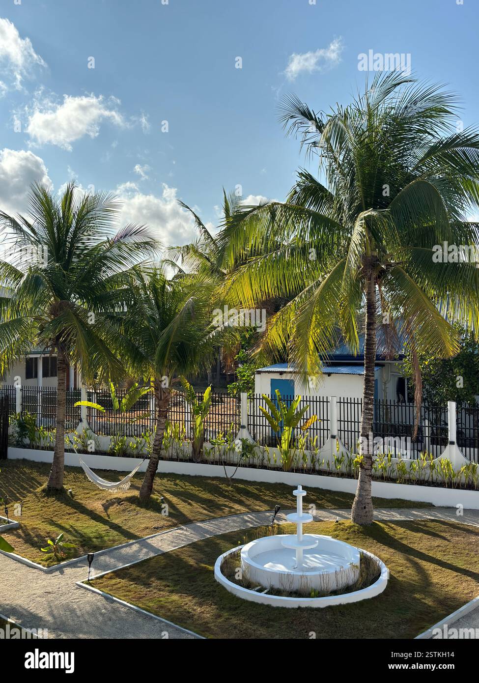 Lush Tropical Palm Trees in the Philippines Stock Photo - Alamy