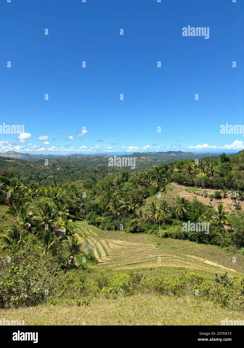 Lush Cadapdapan Rice Terraces in Bohol, Philippines – A Green Paradise ...