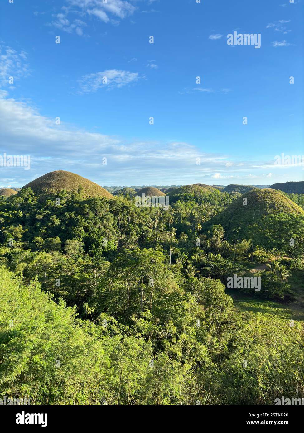 Majestic Chocolate Hills Landscape in Bohol, Philippines Stock Photo ...