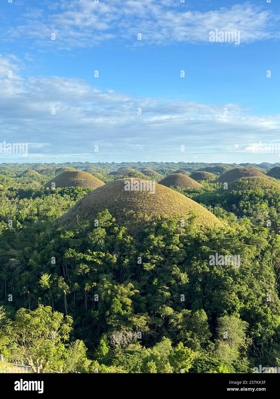 Majestic Chocolate Hills Landscape in Bohol, Philippines Stock Photo ...