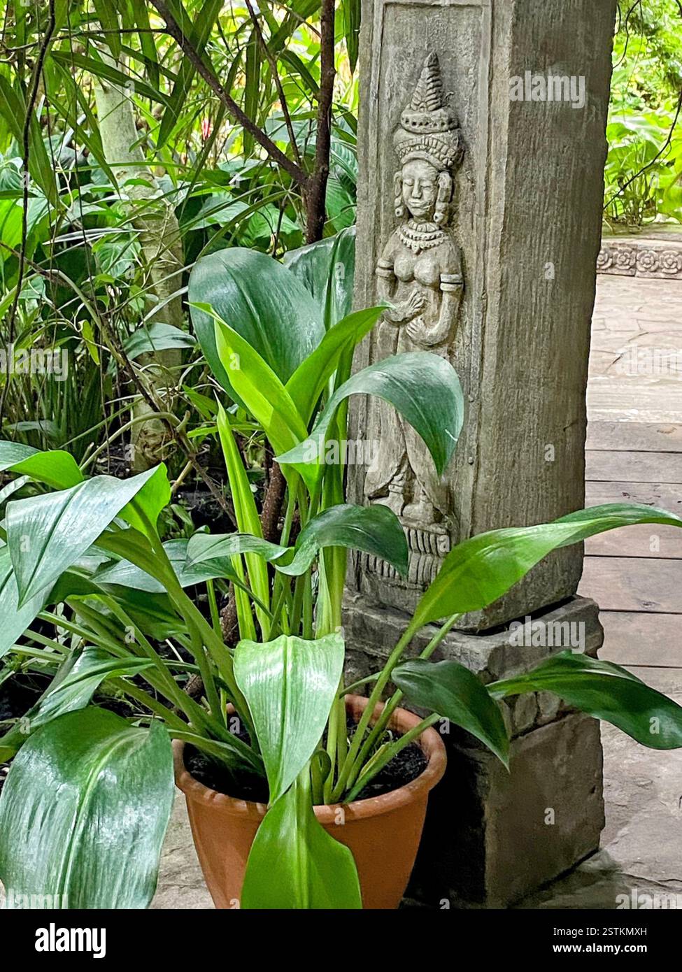 Mystical deity hi-res stock photography and images - Alamy