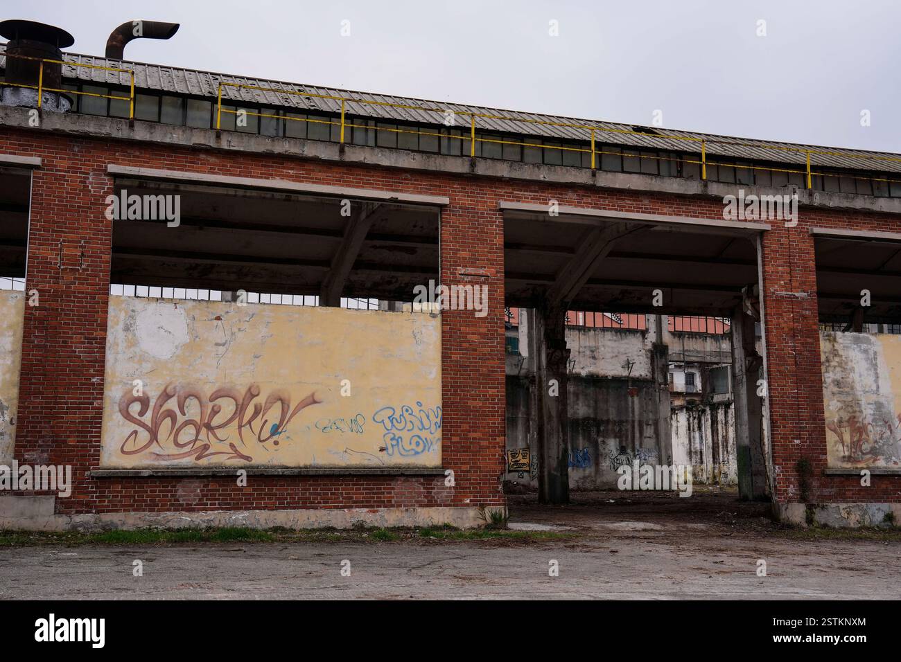 Torino, Italia. 19th Feb, 2025. Iniziati i lavori per l'ntervento di ...