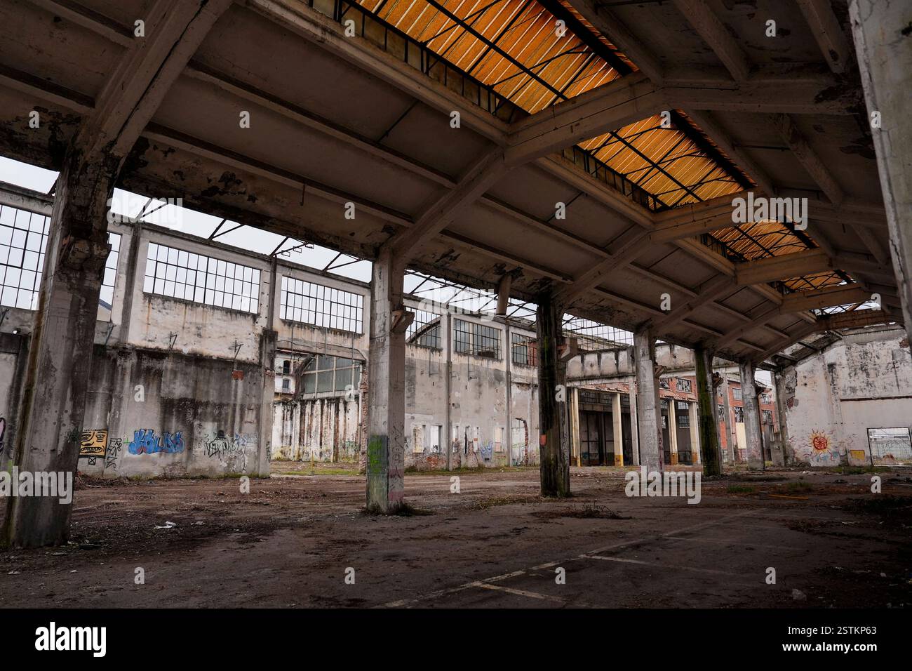 Torino, Italia. 19th Feb, 2025. Iniziati i lavori per l'ntervento di ...