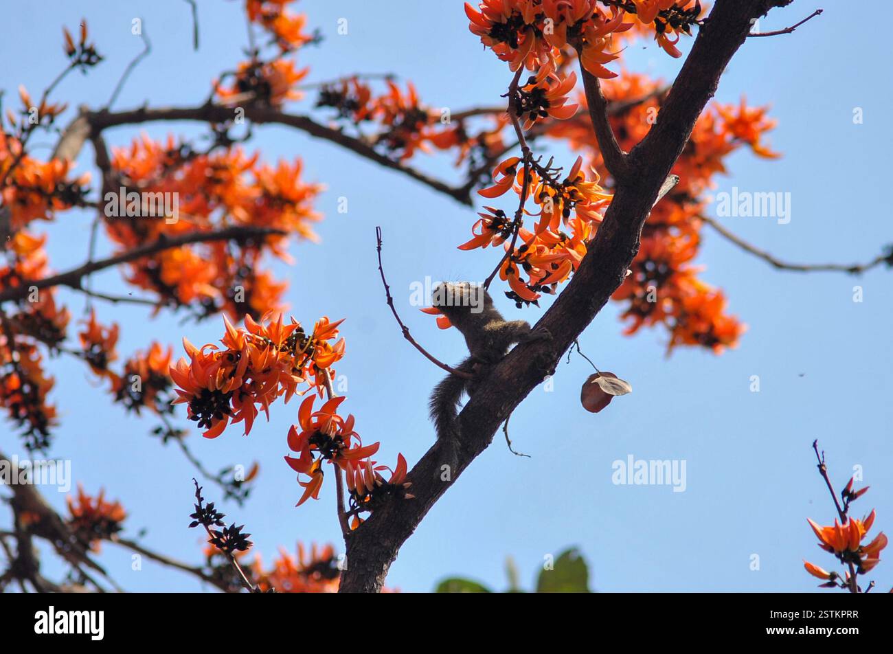 The season of spring has come again. Nature in the city is touched with ...