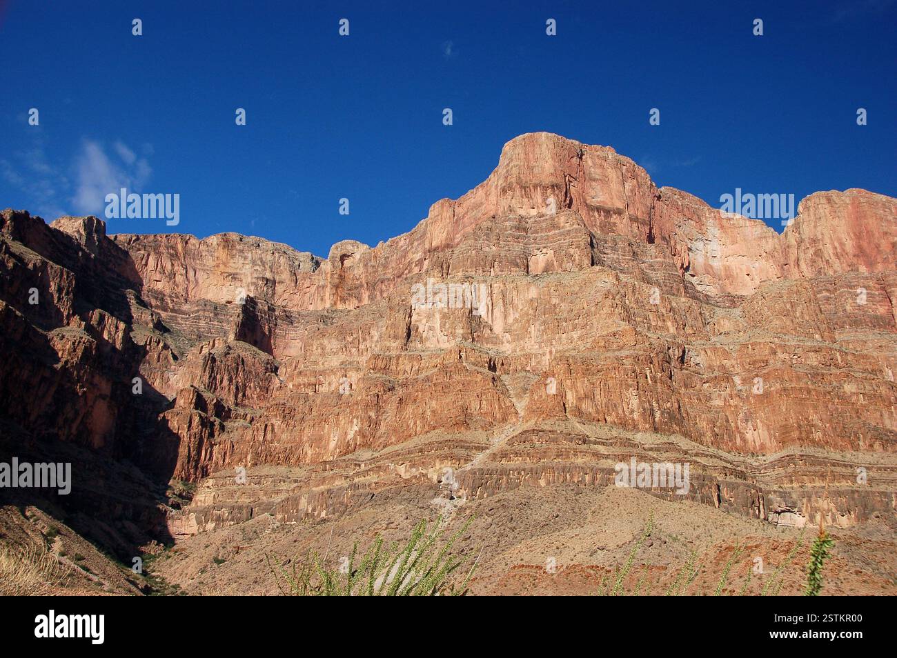 Breathtaking aerial view of the Grand Canyon, showcasing its vast ...