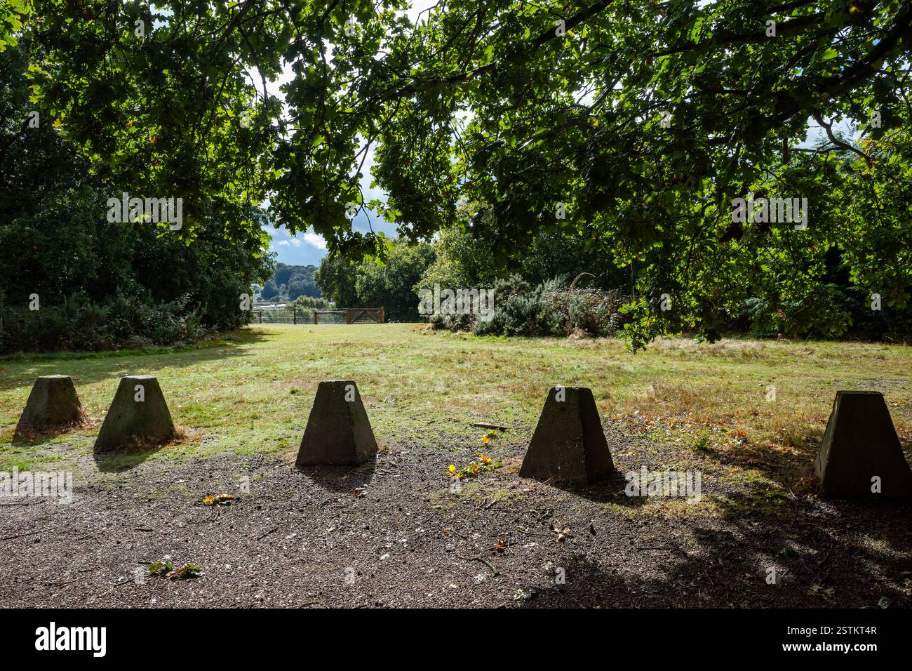 Concrete bollards Woodbridge Suffolk Stock Photo - Alamy
