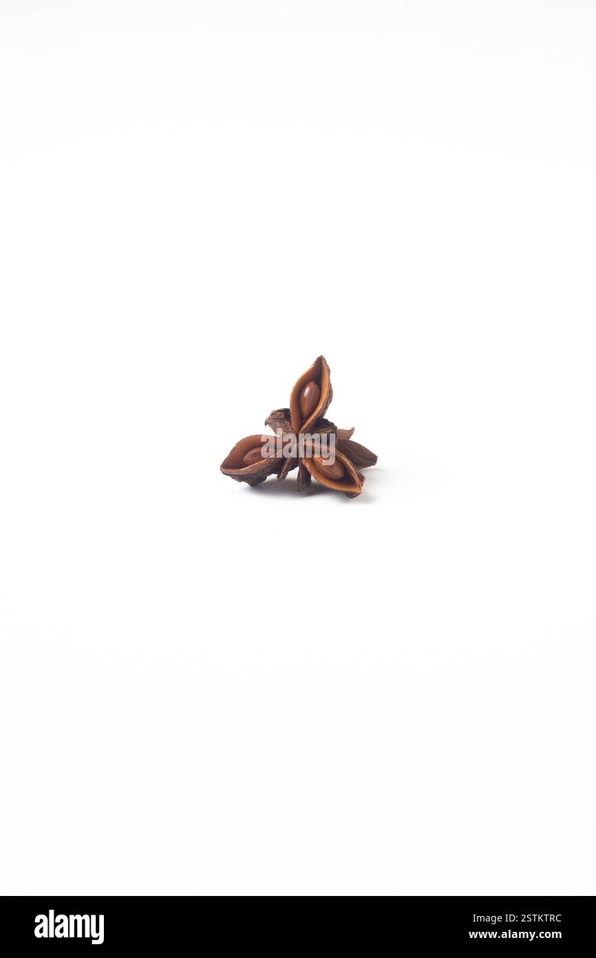 Detail of an aniseed isolated on a white background Stock Photo - Alamy