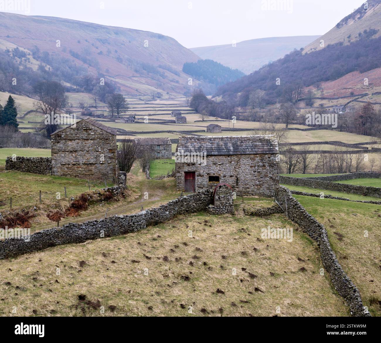 Swaledale near the village of Muker, with traditional Yorkshire Dales ...