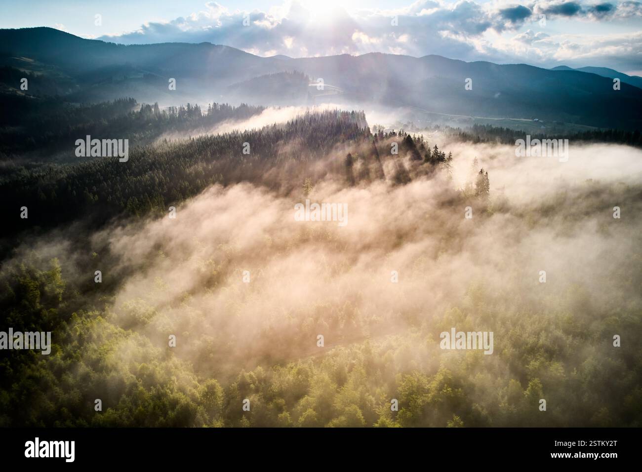 Aerial view. Sunlight filters through mist, casting long shadows over ...