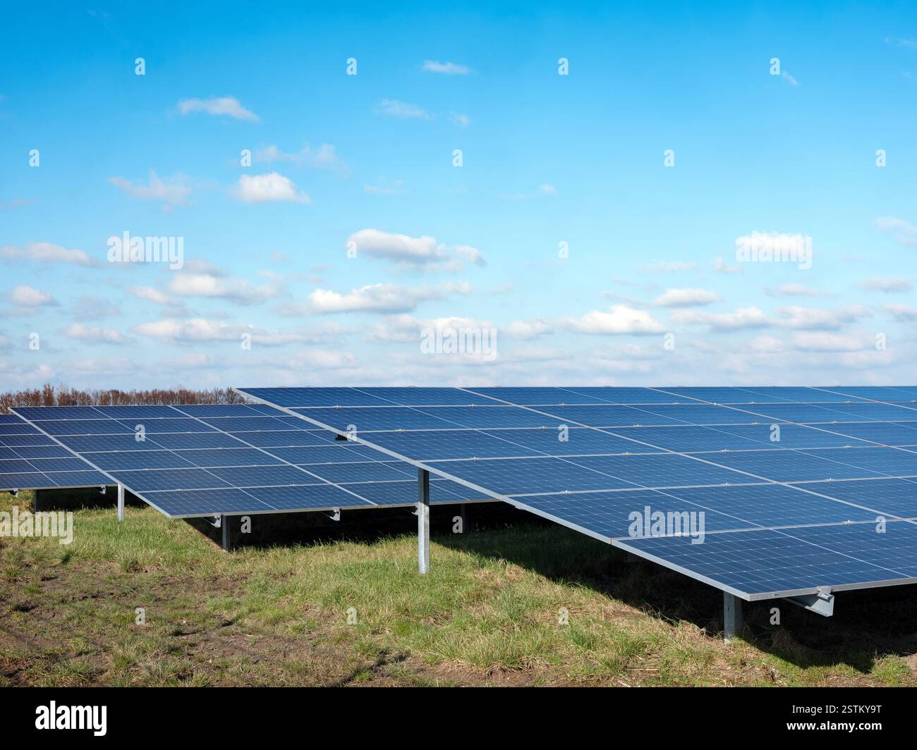 solar panel field under blue sky with fluffy clouds in dutch area near ...