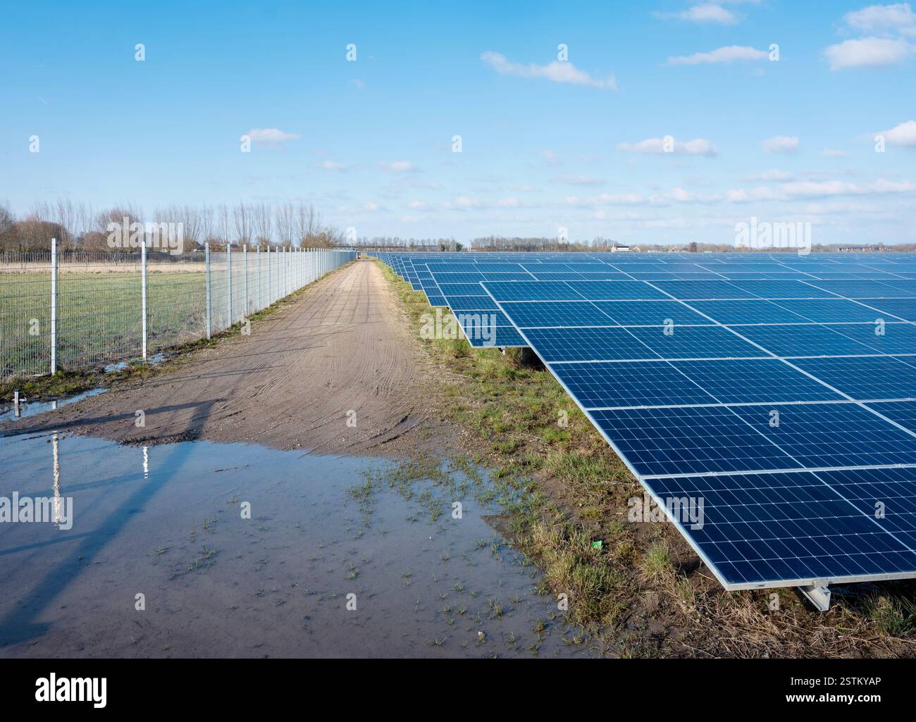 solar panel field under blue sky with fluffy clouds in dutch area near ...