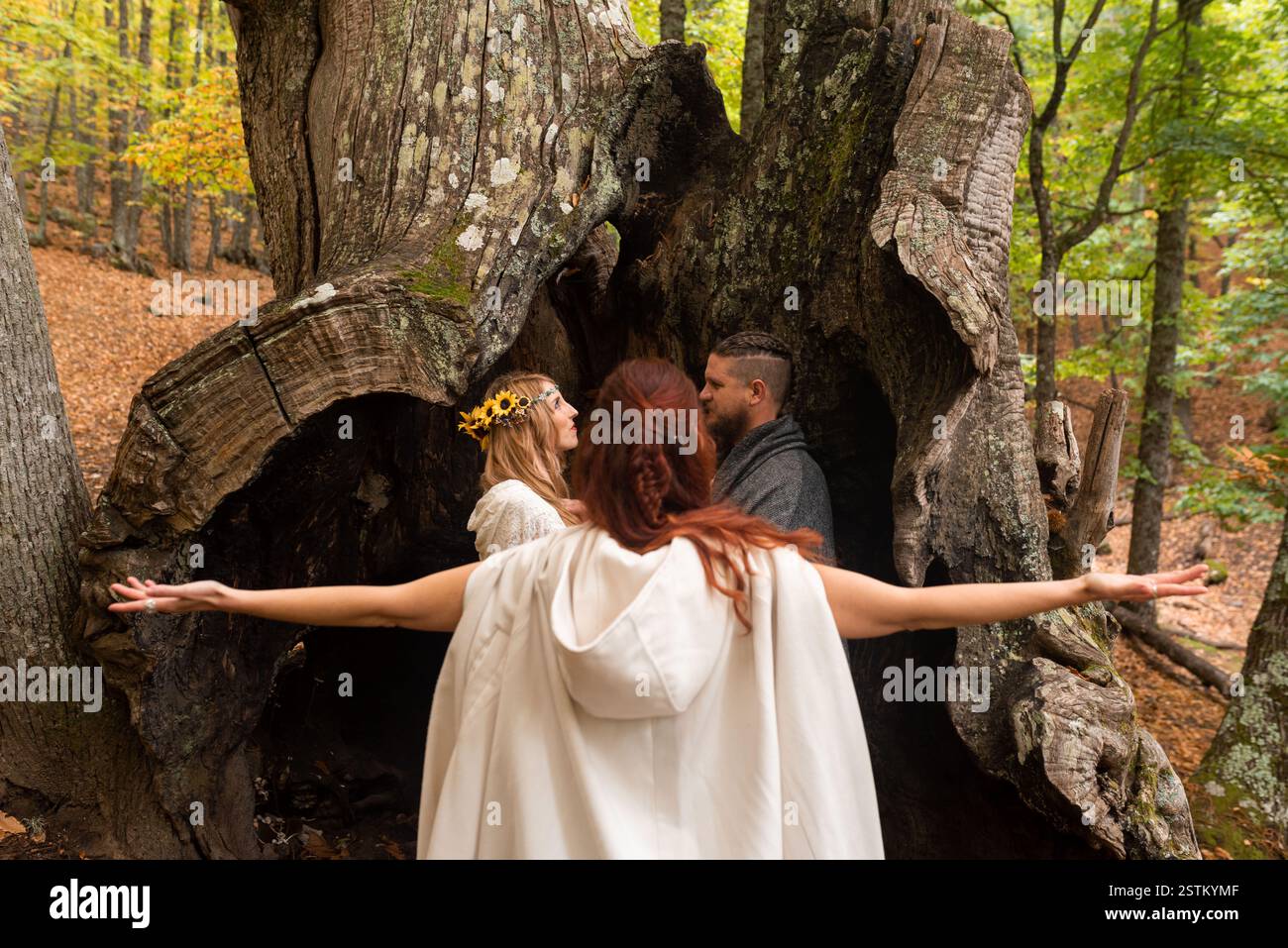 Celtic weddings based in Spain, made in a beautiful forest of trees Stock Photo - Alamy