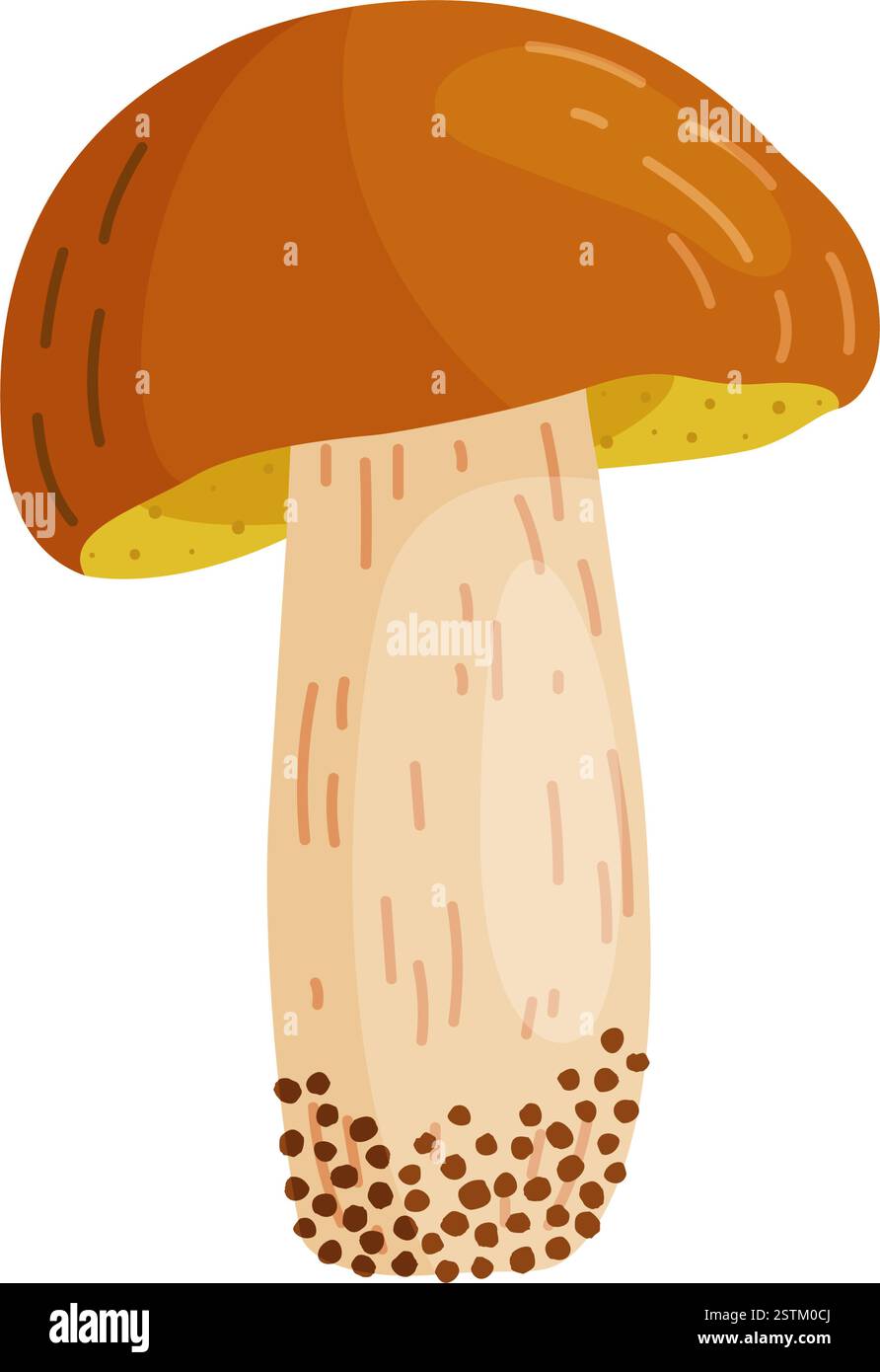 Suillus luteus, yellow mushroom. Edible forest fungus slippery jack or ...