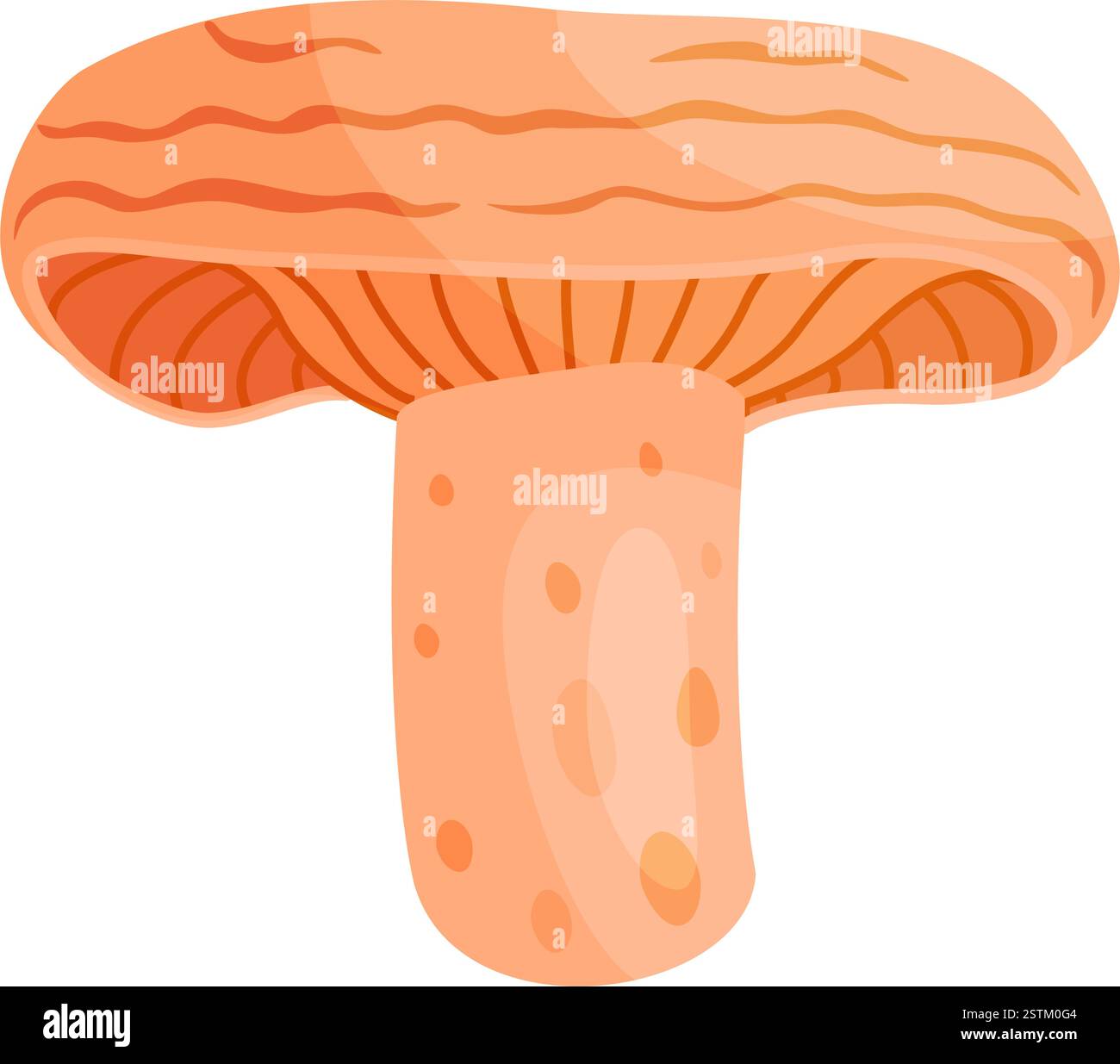 Saffron milk cap edible forest mushroom icon. Hand drawn trendy flat ...