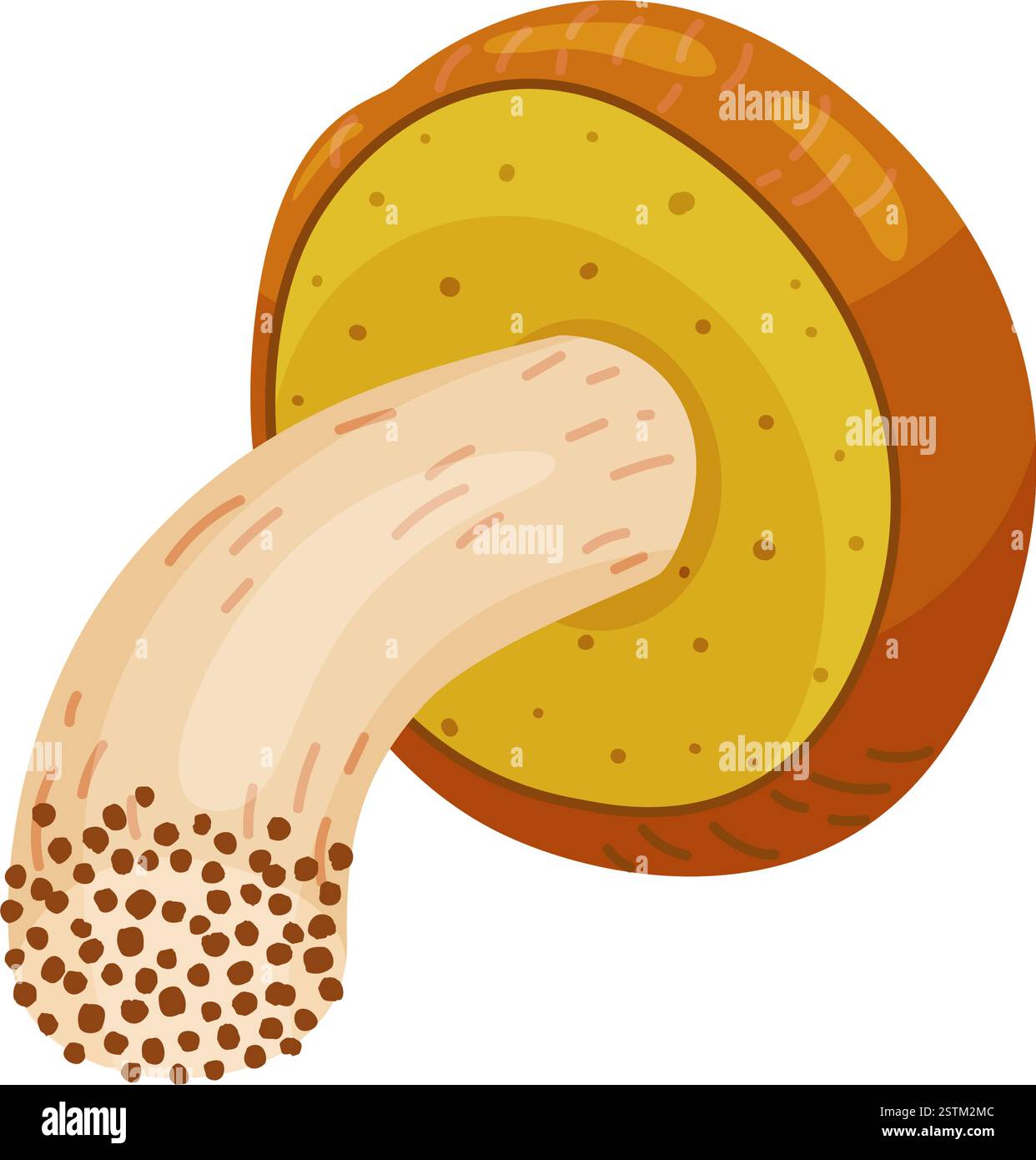 Suillus luteus, yellow mushroom. Edible forest fungus slippery jack or ...