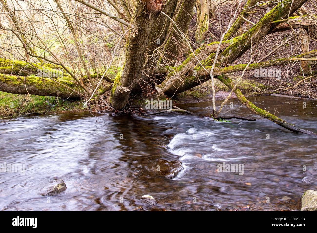 Local nature reserve dundee hi-res stock photography and images - Alamy