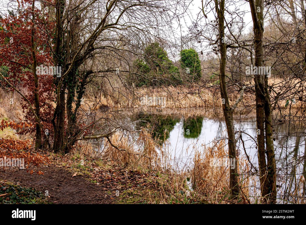 Local nature reserve dundee hi-res stock photography and images - Alamy