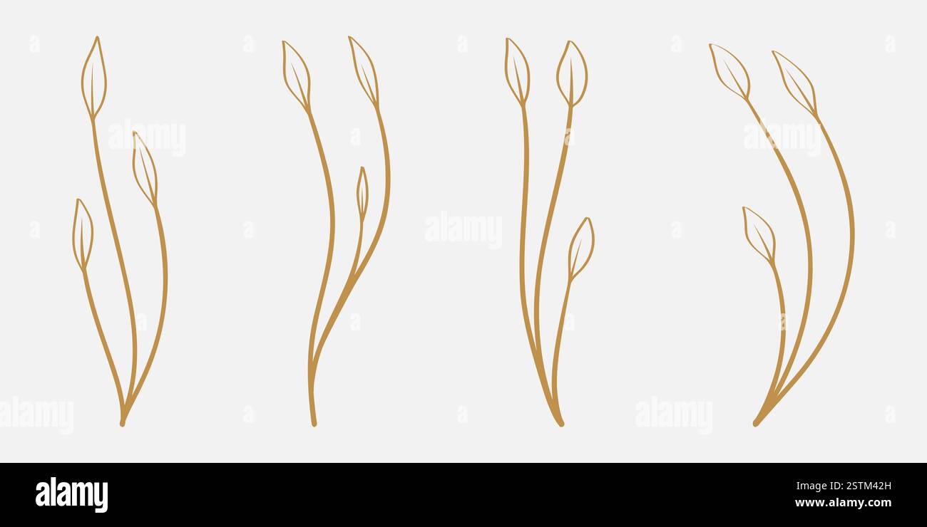 Delicate botanical leaf designs on a white background. Vector ...