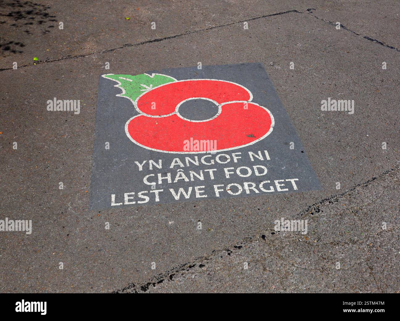 Remembrance Poppy painted on pavement with message in English and Welsh ...