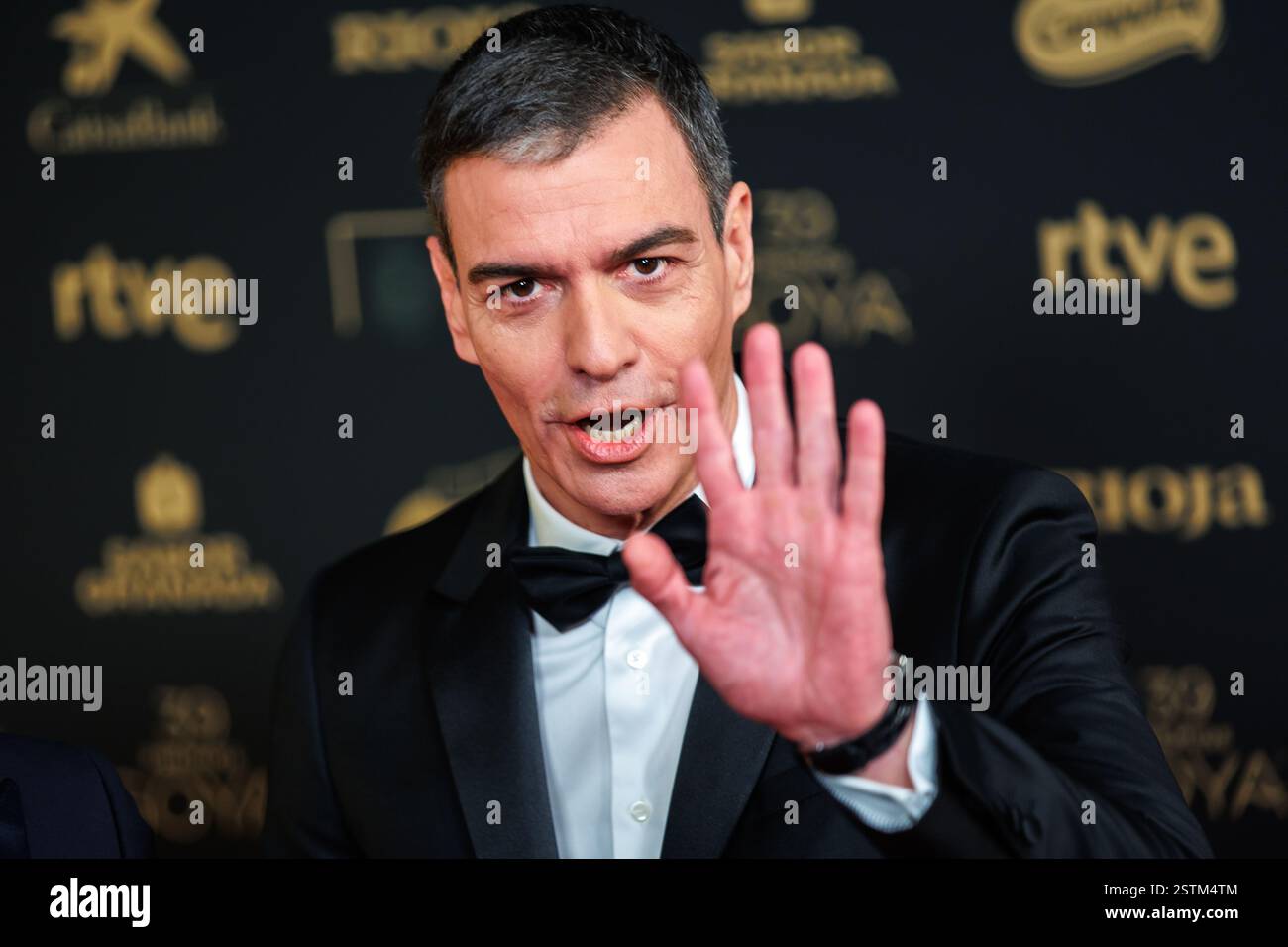 Granada, Spain. 8th February 2025. Pedro Sánchez, Spain's Prime ...