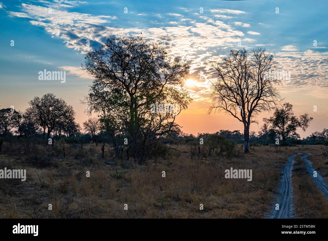 African sky with sunset light between the clouds Stock Photo - Alamy