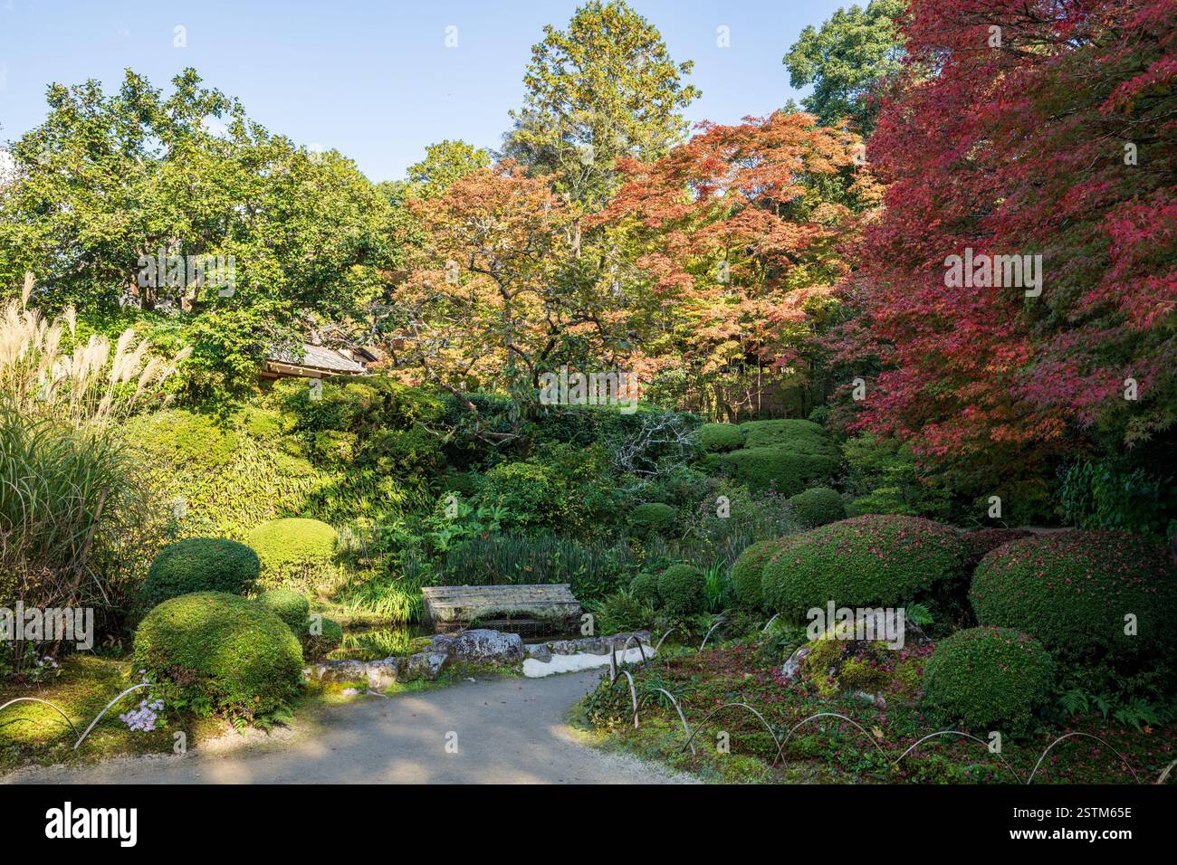 Shisendo Temple Garden, Kyoto, Japan Stock Photo - Alamy