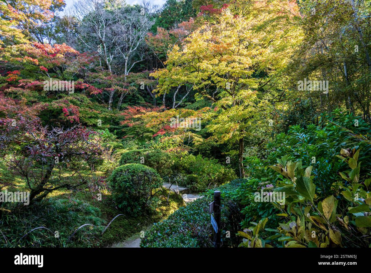 Shisendo Temple Garden, Kyoto, Japan Stock Photo - Alamy
