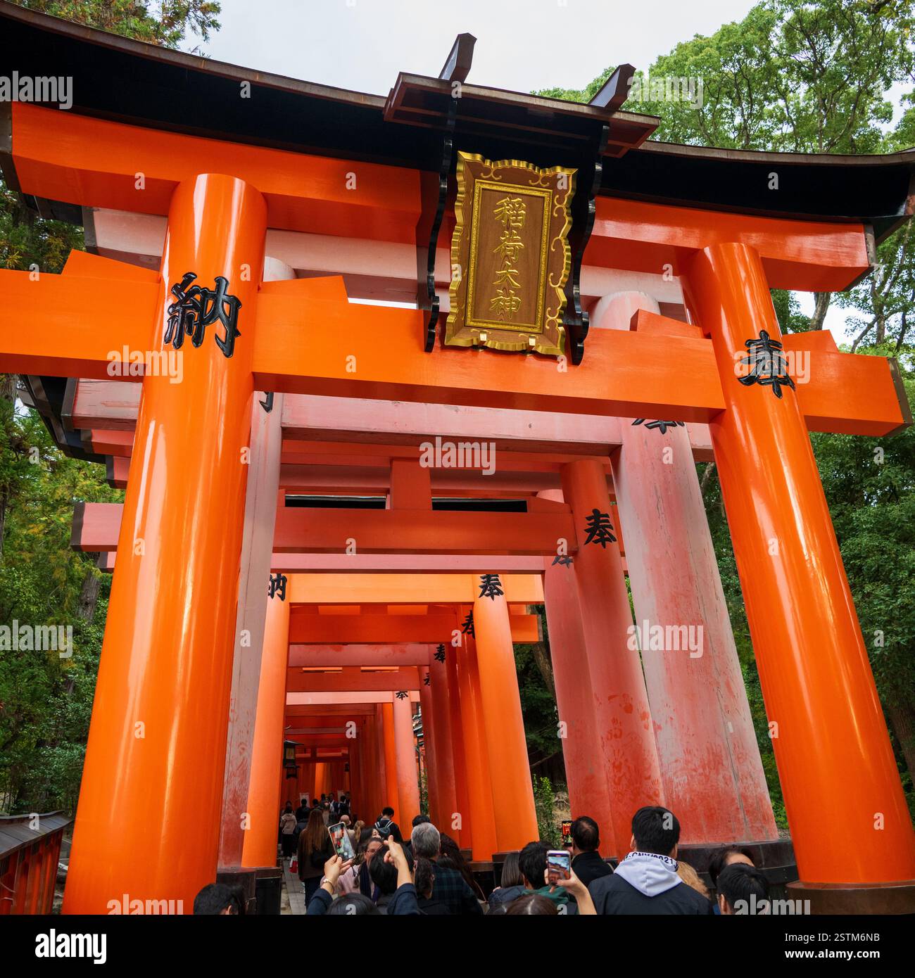 Fushimi Inari Shrine Torii Gates, Kyoto, Japan Stock Photo - Alamy