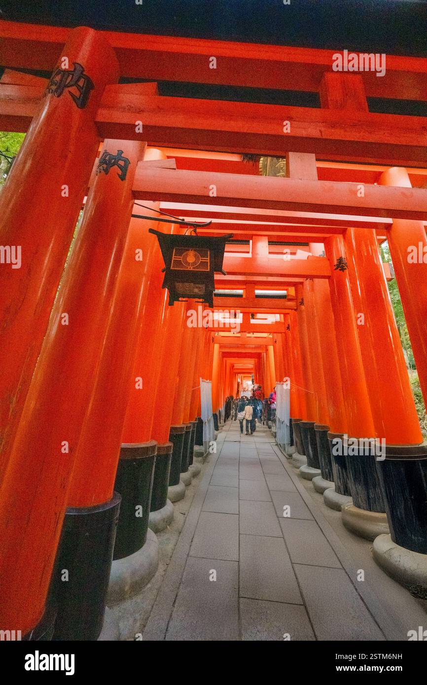 Fushimi Inari Shrine Torii Gates, Kyoto, Japan Stock Photo - Alamy